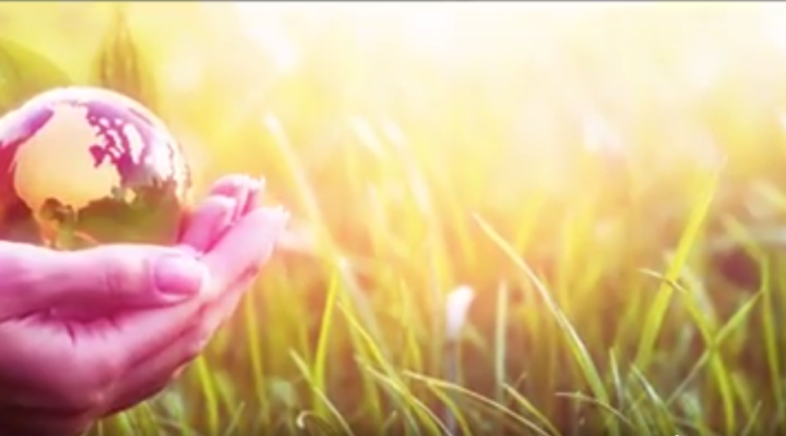 Sacred Springs | Healing Breath for Creation